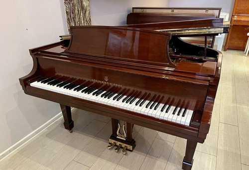 Steinway & Sons, model M-170