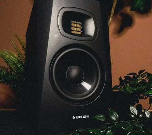 Студийные мониторы adam t5v (пара) + подставки