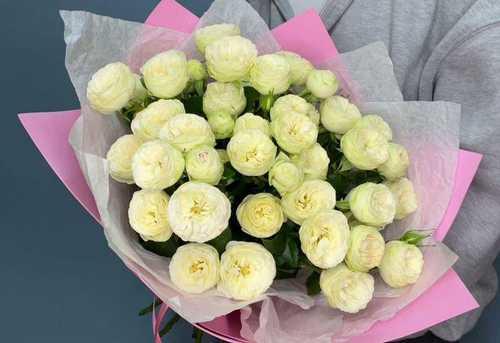 Пион кустовые пионовидные розы Вайт баблз