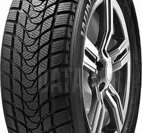 Delinte Winter WD1 205/65 R16 95T