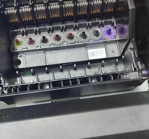 Epson r1900