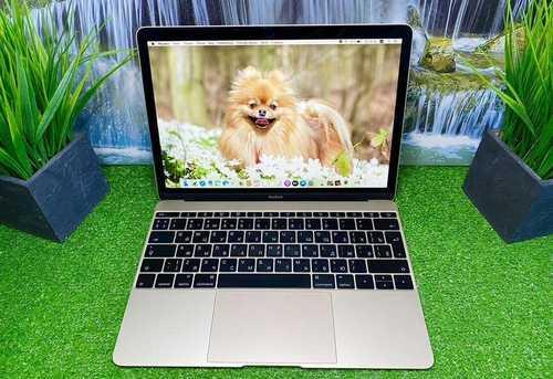 MacBook 12 (2016), 512 ГБ, Core m5, 1.2 ГГц, RAM 8 ГБ, Intel HD Graphics 515