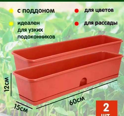 Ящики для рассады с поддоном