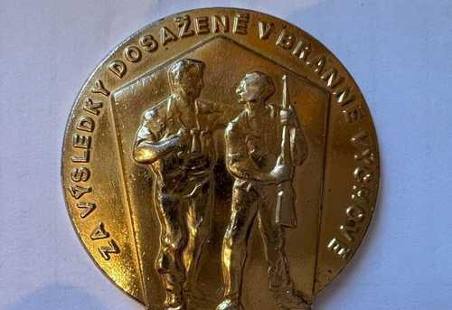Медаль За достижения в военном образовании (Чех)