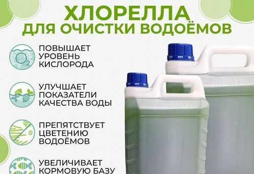 Хлорелла суспензия