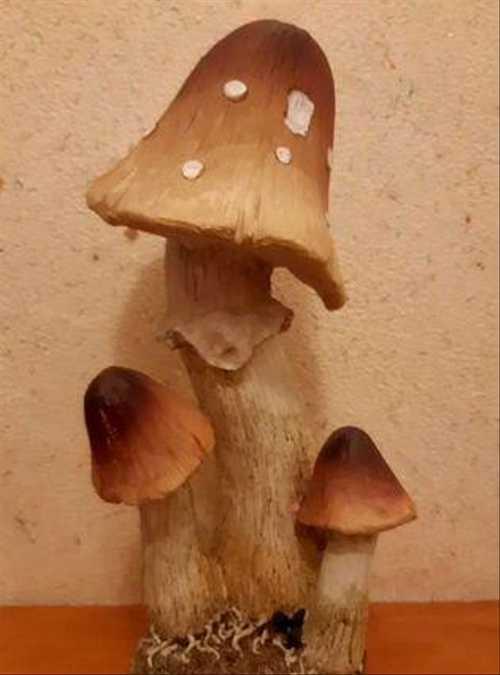 Декоративные, садовые грибы
