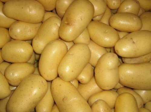 Семенной картофель Агата 2 кг