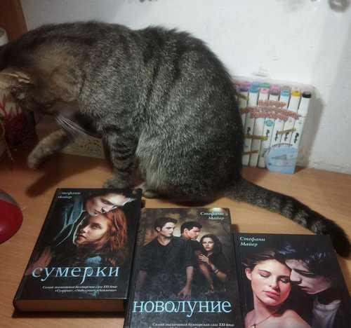 Сумерки. Затмение. Новолуние. С. Майер