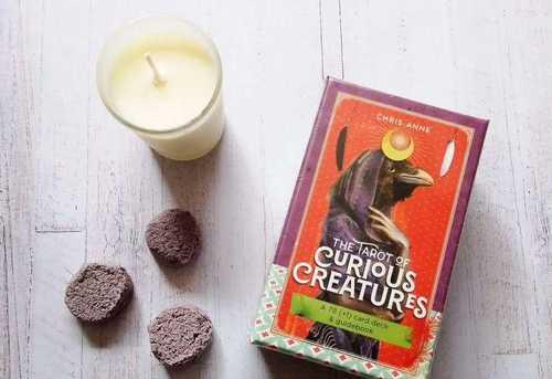 Таро Любопытных Существ Tarot Curious Creatures