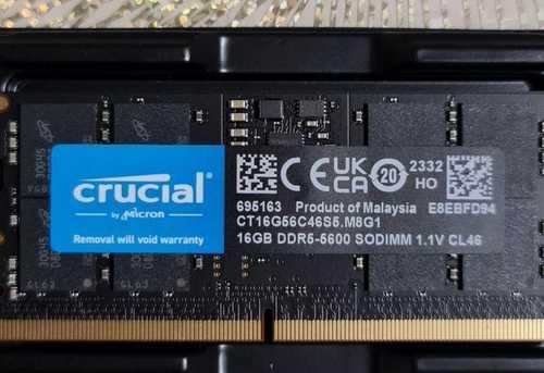 DDR5 5600 sodimm crucial 16GB