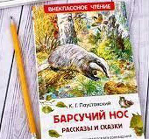 Книга 30051 Паустовский К. Барсучий нос