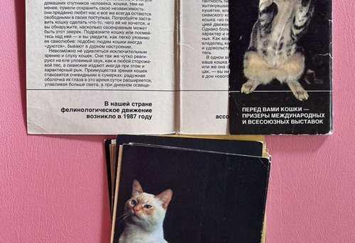 Открытки кошки 1987