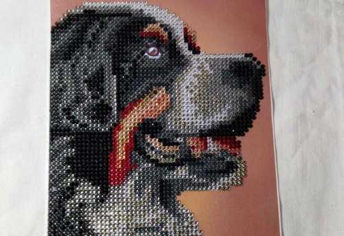 Алмазная мозаика Собака