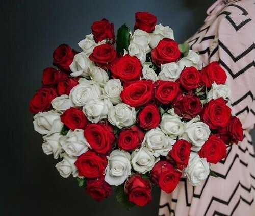 Букет 51 красно-белая роза, 50 см, цветы доставка