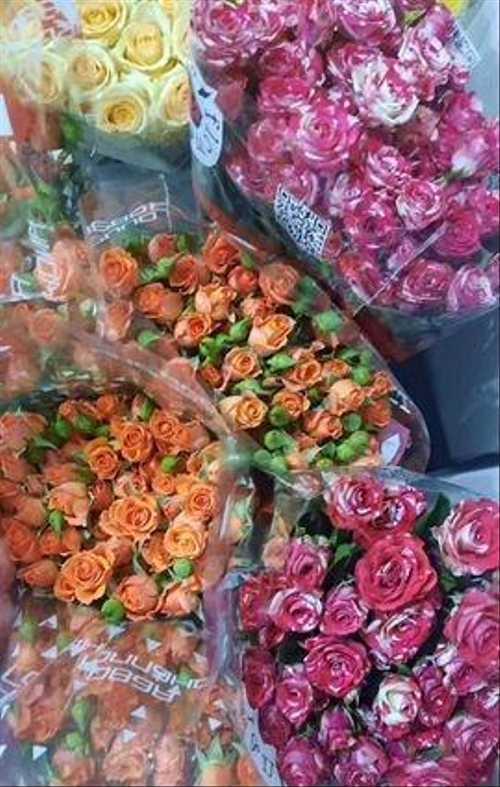 Цветы, оптовая База цветов, Розы, хризантема
