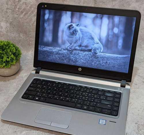 Ноутбук HP ProBook 440 G3 i3/8/SSD HDD, TN/HD, 14"