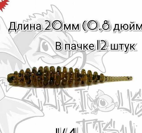 Leech Dance Slim 0,8 дюйма