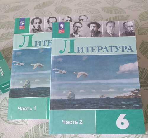 Учебник литературы 6 класс. Коровина