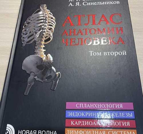 Атлас по анатомии синельников том 2, 2023 года