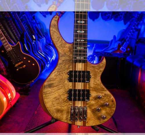 4 Bass Active Top Burl VGlorify