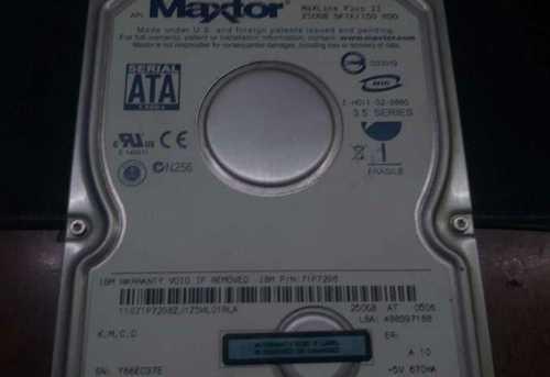 Жёсткий диск Maxtor 250гб