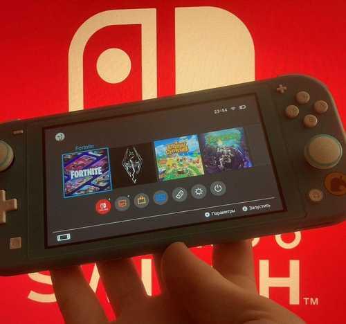 Nintendo switch lite