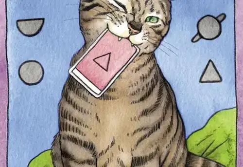 Cat Tarot. Таро Котиков в подарочном футляре