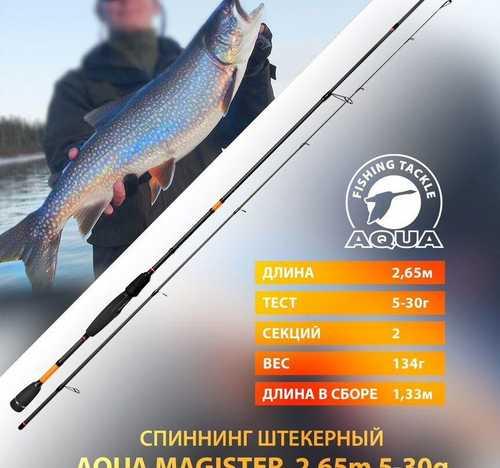 Спиннинг штекерный aqua magister 2,65m 5-30g