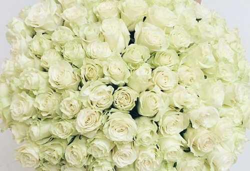 Розы Цветы Букеты с доставкой 33 51 101