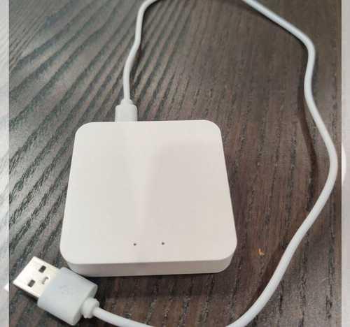 Шлюз tuya zigbee 3.0 USB type c