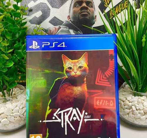 Stray PS4 Б/у