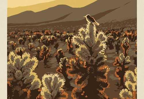 Открытка Anderson Design Group - Joshua Tree Natio