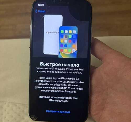 iPhone X, 256 ГБ