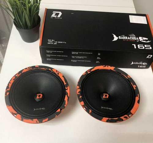 DL audio barracuda 165