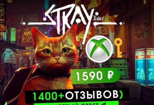 Stray Xbox One & Series Ключ (Русский язык)