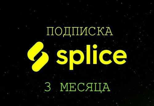 Splice sound семплы +100 credits Оф.лицензия