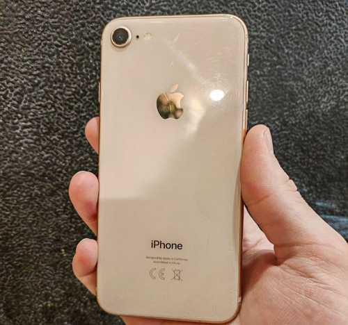 iPhone 8, 256 ГБ