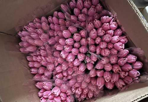 Тюльпаны ярко розовые оптом и в розницу
