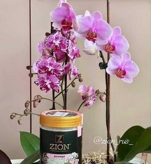 Набор удобрений добавок для орхидей Zion