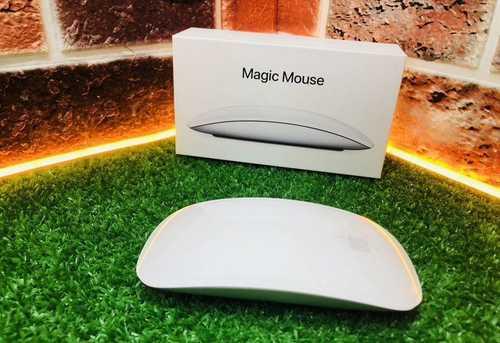 Z.11457 Magik Mouse 2