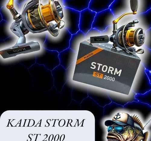 Kaida storm 2000