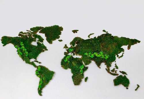 Карта мира из мха 'Зеленая энергия / 200х100 см- 2