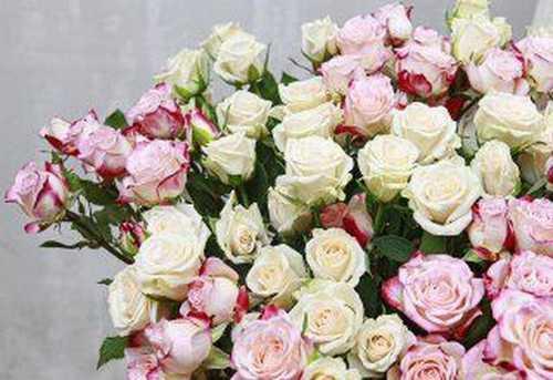 Букет из 19 высоких кустовых роз (Кения)