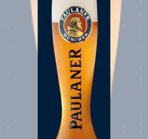 Бокал пивной paulaner