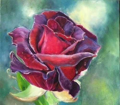 Картина маслом "Королевская роза"