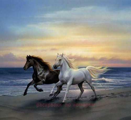 Алмазная мозаика 40x50 Черный конь и белая лошадка