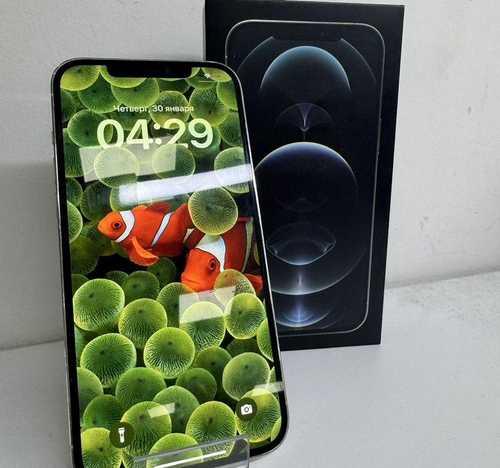 iPhone 12 Pro Max, 256 ГБ