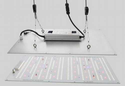 Фитолампы Quantum Board LED siyanie Сияние 200W UV