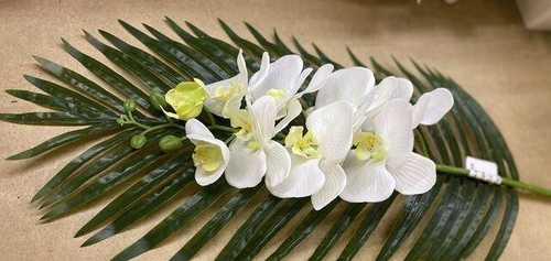 Ветка орхидеи, ветка пальмы