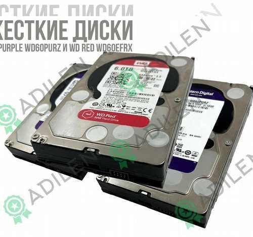 Жесткие диски WD Purple WD60purz и WD Red WD60efrx